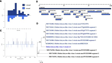 Frontiers Metagenomic Analysis Reveals The Virome Profiles Of Aedes