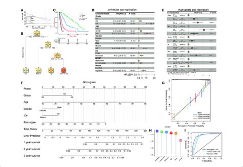 Construction And Validation Of The Clinic Associated Model A