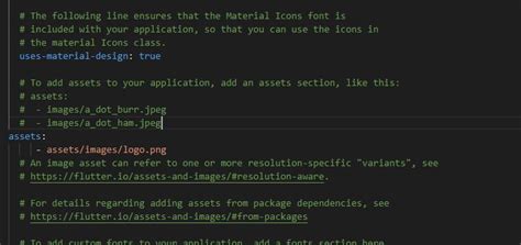 image not showing flutter imaegus
