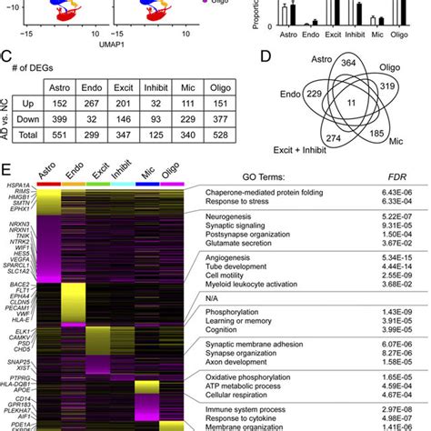 Single Nucleus Transcriptome Analysis Of The Prefrontal Cortex In Ad