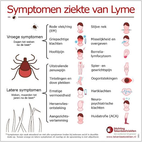Symptomen Waar Je Op Moet Letten Na Een Tekenbeet Gezondheid Plus
