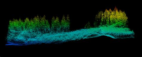 processing lidar data technologies to improve forest management