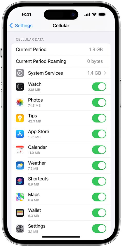 Iphone Cellular Data