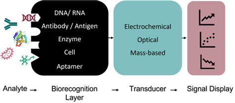 Schematic Representation Of The Different Types Of Biosensors Available