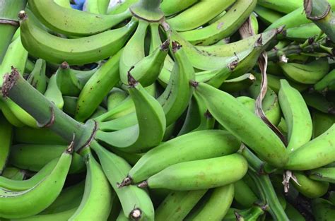 Do Plantains Have Gluten Health Benefits And More