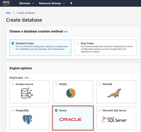 create an oracle database standard edition two instance in a multi az