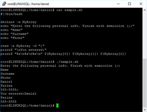 display user messages and catch user input with bash scripting