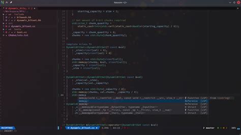 neovim config showcase neovim