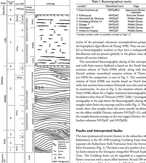 Chronostratigraphy Biostratigraphy Lithostratigraphy And Lithology In
