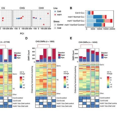 Figure S6 Heat Maps Showing Differential Expression Of Genes And
