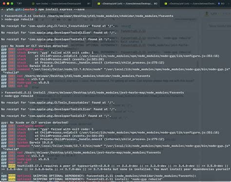 javascript cannot install npm package fsevents on mac os catalina