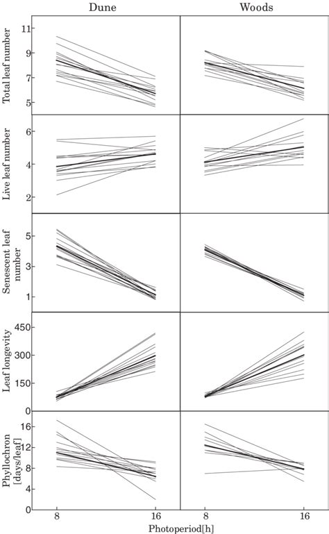 Reaction Norm Plots For The Rate Of Ramet Appearance In Iris Pumila