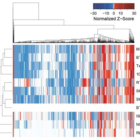 Z Scores Of Metabolite Abundance The Relative Abundance Of Each