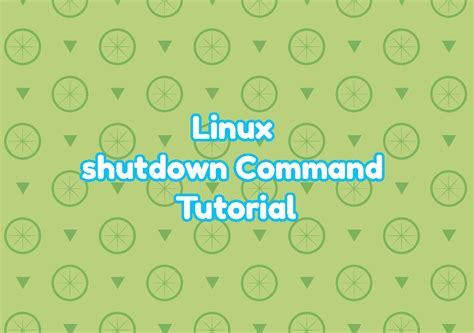 cellula somatica concepire giocare linux shutdown timer walter