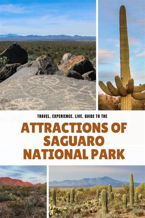 15 Best Things To Do In Saguaro National Park Artofit