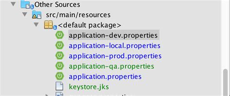 spring boot filenotfoundexception home ec2 user src main