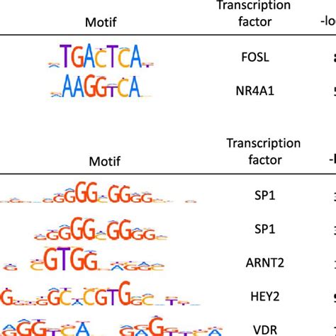 Differentially Acetylated Transcription Factor Binding Motifs Tfbms