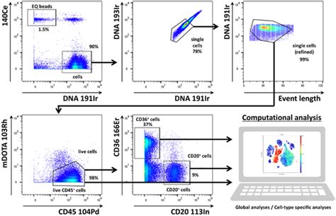 Typical Gating Strategy For Pbmc Analyzed By Mass Cytometry Intact