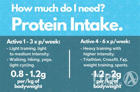 Discover Protein Benefits For Weight Loss Aging And Muscle Building