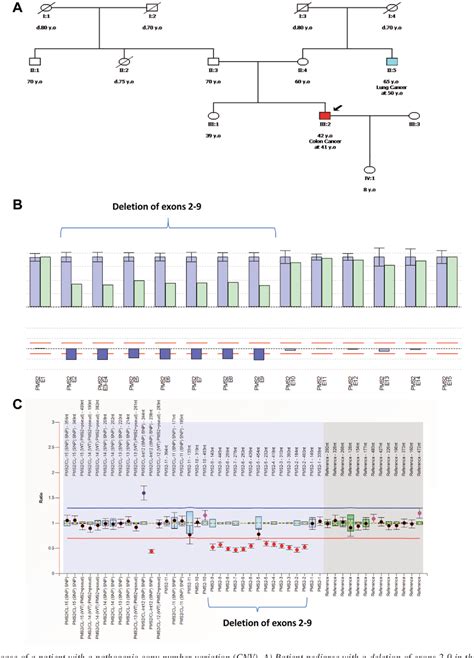 Figure 3 From Copy Number Variations Cnvs Account For 10 8 Of