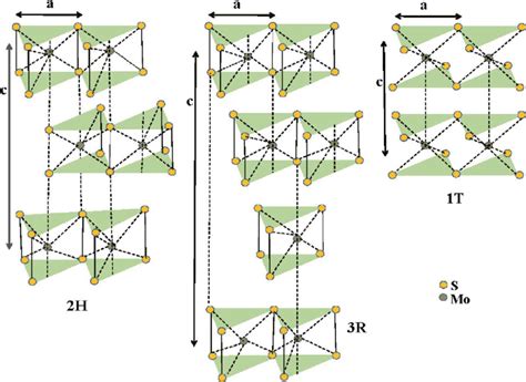 Structural Polytypes Of Mos 2 1t 2h And 3r Reproduced With
