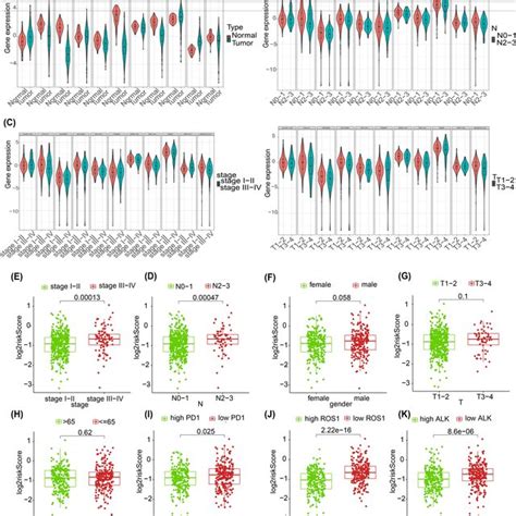Correlation Of 11 Lncrna Signature And Clinical Features A‐d