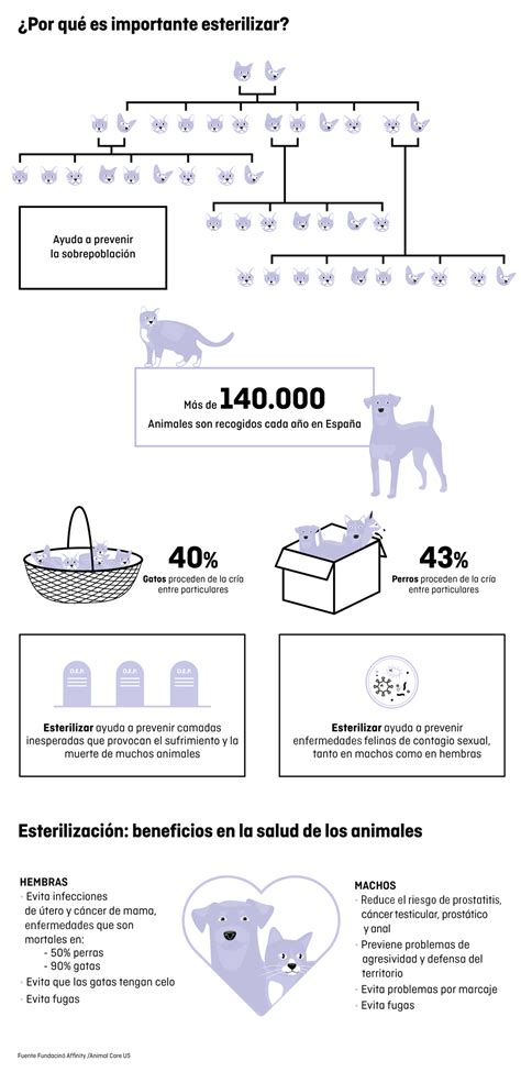 Esterilizar