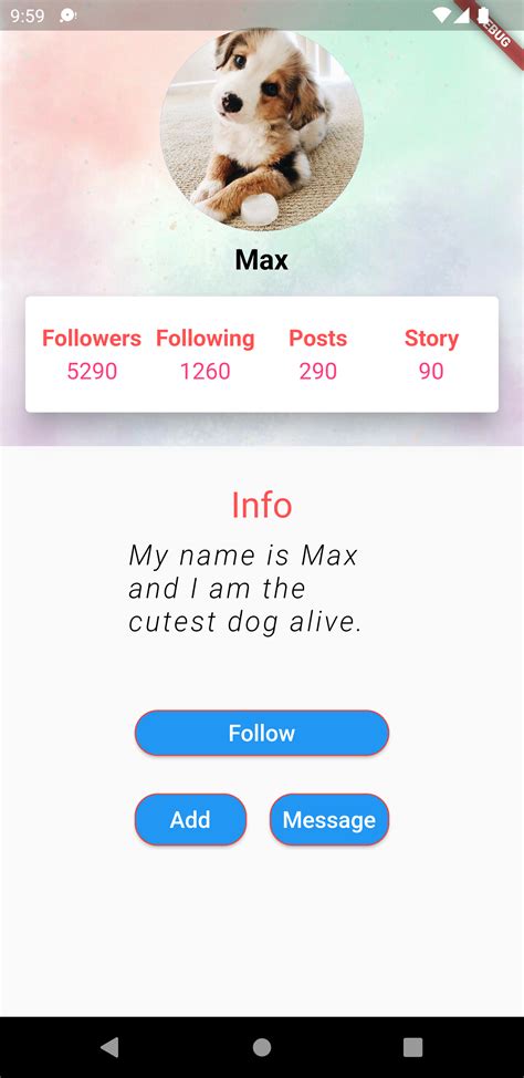 create a flutter user profile page ui where you can access and edit