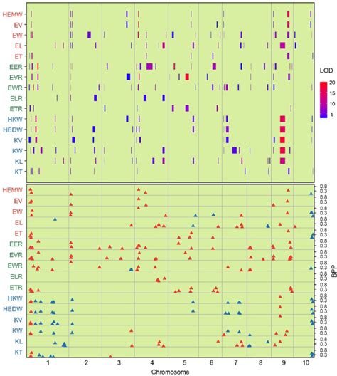 Qtl Mapping Results For 16 Embryo Size And Related Traits By Jlm