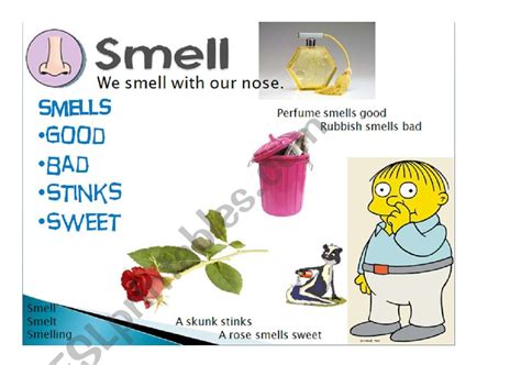 Five Senses Smell 3 5 Esl Worksheet By Vickiii