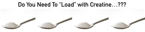 Creatine Supplement Information 101 — Lee Haywards Total Fitness