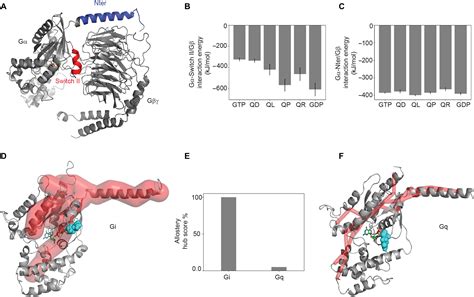 Catalytic Site Mutations Confer Multiple States Of G Protein Activation