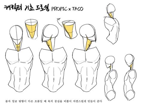 타코작가 Taco1704 Twitter Figure Drawing Reference Anatomy Reference