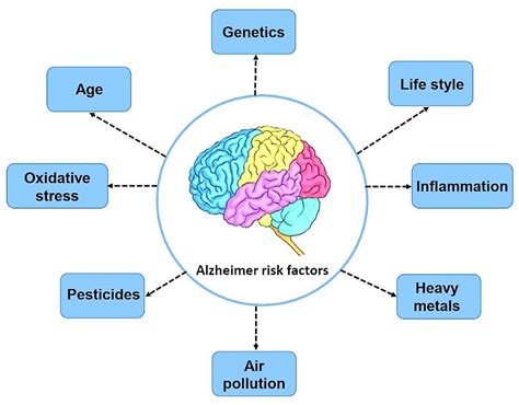 Some Common Risk Factors Of Ad Environmental And Genetic Are Two