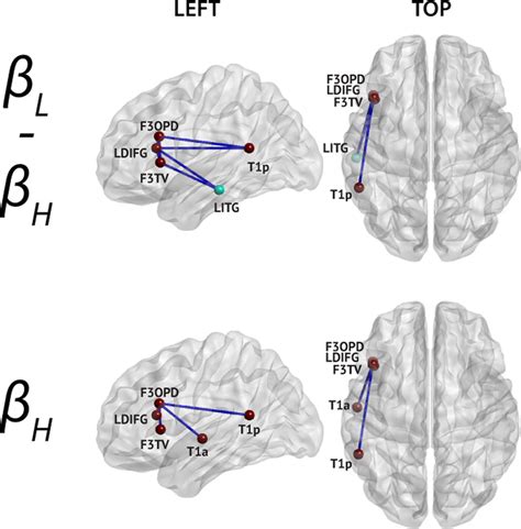Connections Disclosing Significant Correlation Between Rsfc And Disease
