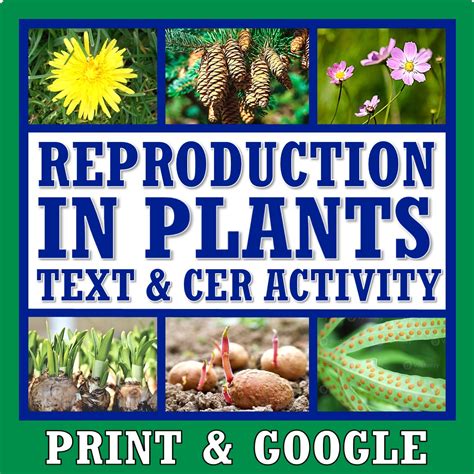 Specialized Structures For Plant Sexual And Asexual Reproduction Lesson