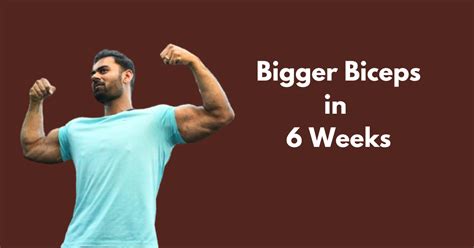 Scientifically Proven Best Biceps Exercises For Mass Anextrarep