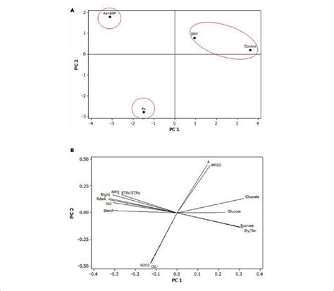 Multivariate Analysis Pca Analysis Two Dimensional Pca Biplots