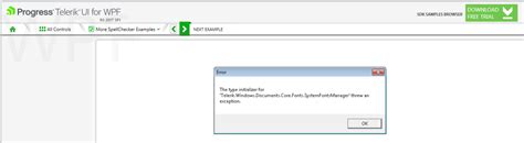 typeinitializationexception or fileformatexception error in a wpf