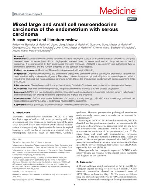 Pdf Mixed Large And Small Cell Neuroendocrine Carcinoma Of The