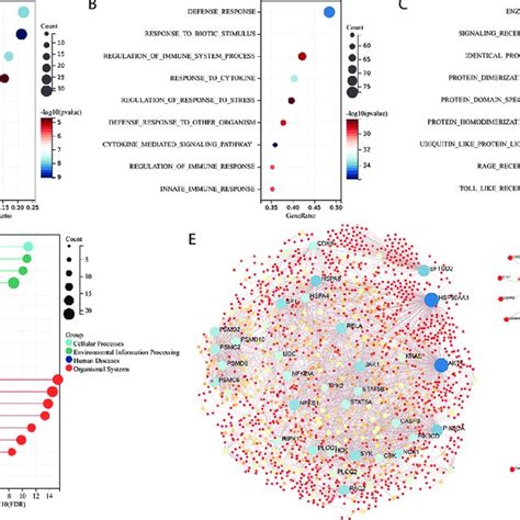 Enrichment Analysis And Ppi Network Construction Of Irdegs A C Go