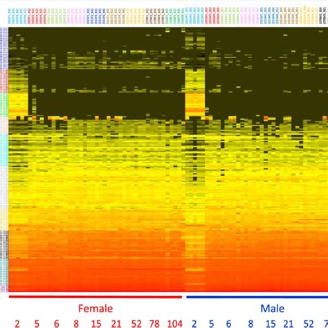 Heatmap Of K Means Cluster Analysis Of 214 Differentially Expressed
