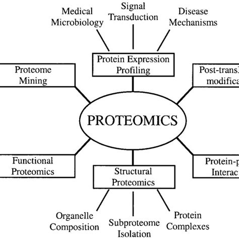 What Is Proteomics Gutmicrobiotaforhealth