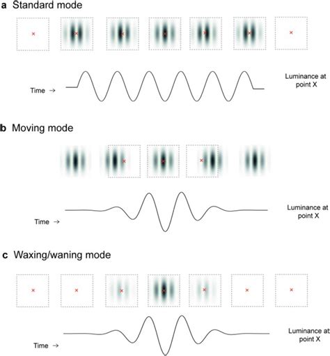 natural motion trajectory enhances the coding of speed in primate