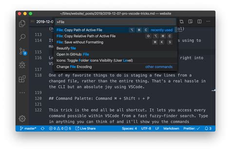 pro vscode tricks harry wolff