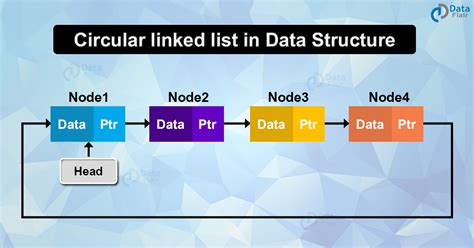circular linked list in data structure dataflair
