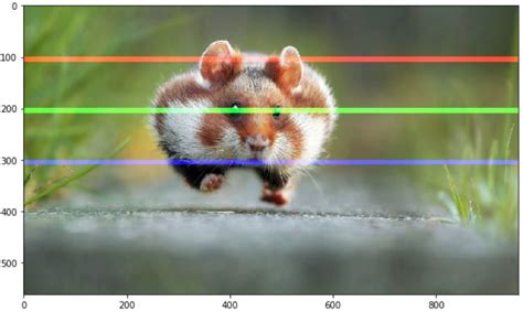 basic image data analysis using python part 1 dzone ai