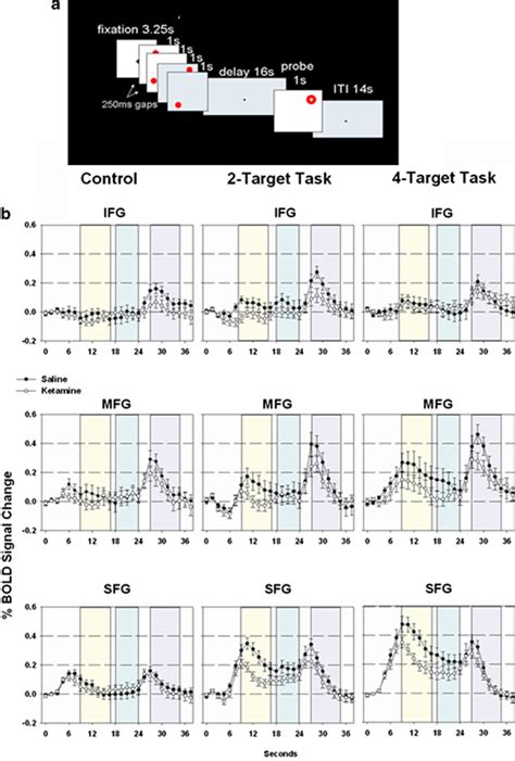 spatial working memory wm task 4 target version b regions of