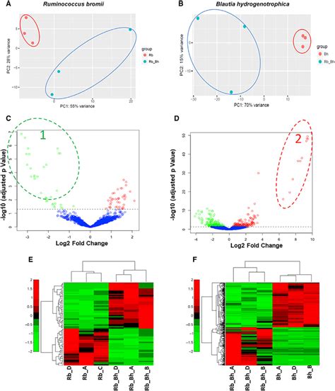 principal component analysis volcano plot and hierarchical cluster
