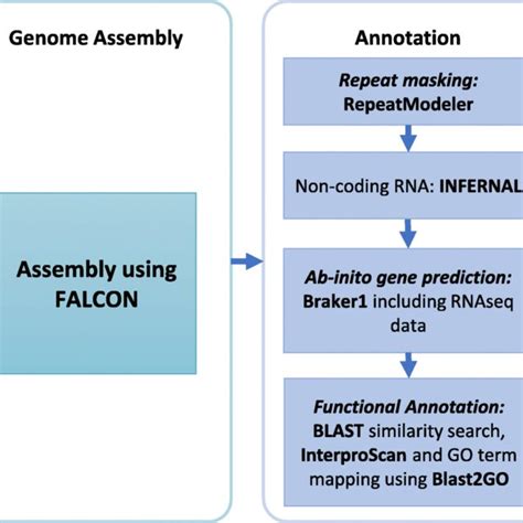 Workflow Genome De Novo Assembly To Achieve A Complete As Possible
